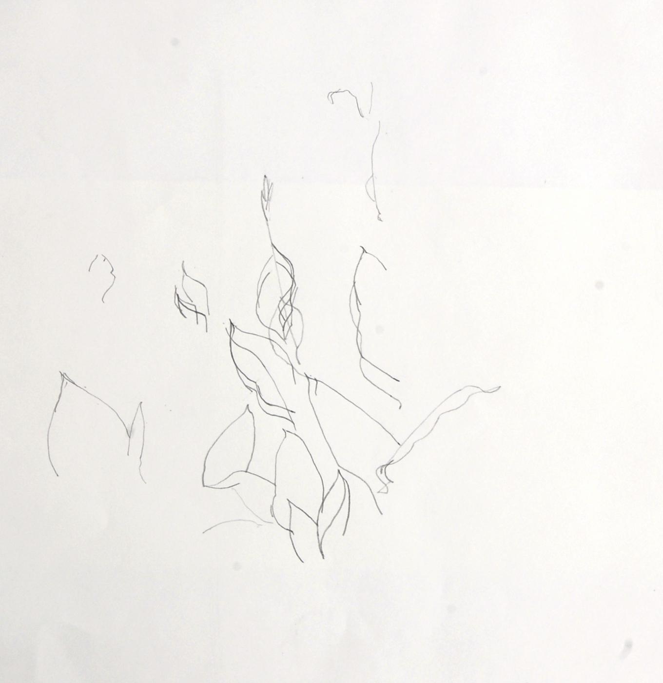 Joe Davis – Artist